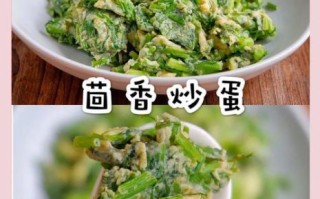 回香菜怎么做好吃_回香菜的经典做法
