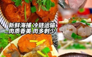 黄金鲅鱼是什么鱼_黄金鲅鱼怎么做好吃