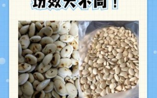 炒白扁豆的功效与作用_炒白扁豆怎么吃最养胃