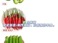 菜椒属于辛辣食物吗_菜椒辣不辣