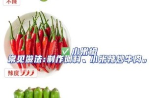 菜椒属于辛辣食物吗_菜椒辣不辣