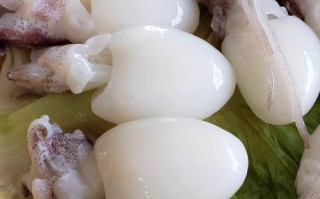 墨鱼仔的营养价值_墨鱼仔吃了有什么好处