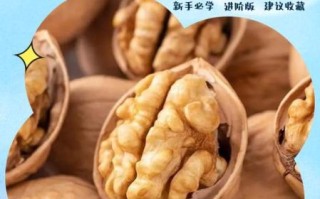 吃核桃的好处和禁忌_哪些人不能吃核桃