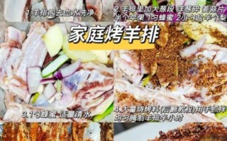 烤羊排怎么腌制_烤箱温度时间设置