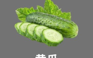 天天吃黄瓜可以减肥吗_黄瓜减肥的正确吃法