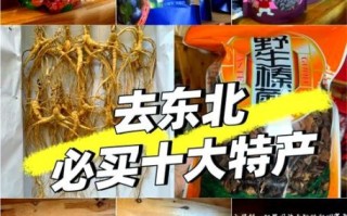 东北正宗土特产有哪些_东北土特产哪里买最正宗