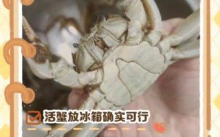 鲜螃蟹放冰箱怎么保存_活蟹冷藏能放几天