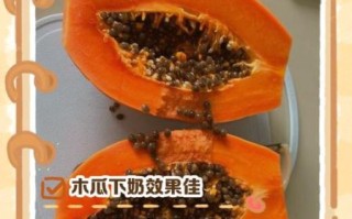 牛奶木瓜生吃正确吃法_木瓜牛奶生吃会不会拉肚子