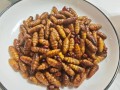 干煸蚕蛹用什么淀粉_玉米淀粉还是土豆淀粉