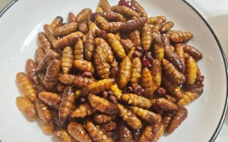 干煸蚕蛹用什么淀粉_玉米淀粉还是土豆淀粉