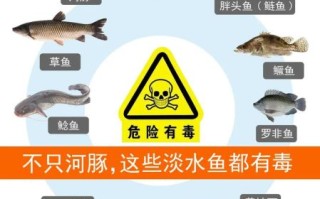 河豚鱼毒素集中在哪些部位_误食后多久发作