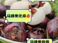 马蹄水果怎么吃_马蹄水果可以生吃吗