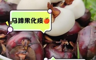 马蹄水果怎么吃_马蹄水果可以生吃吗