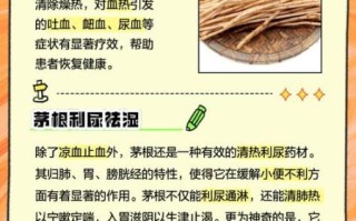 白茅根的功效与作用_白茅根的副作用有哪些