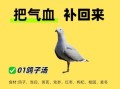 鸽子汤的功效与禁忌_哪些人不能喝鸽子汤