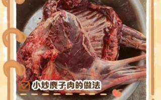 麂子肉的功效与作用_麂子肉怎么吃最补