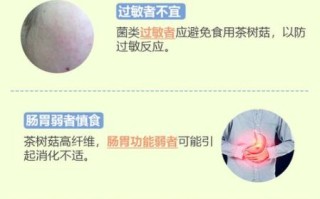 干茶树菇的功效与作用_干茶树菇怎么吃最营养