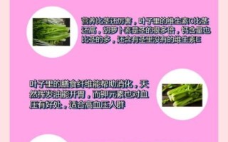 芹菜叶子能吃吗_为什么芹菜叶子不能吃