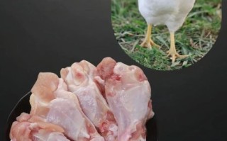 翅根是哪个部位_翅根和翅中区别