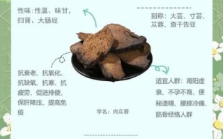 肉苁蓉的功效与副作用_怎么吃才安全