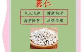 薏仁米的功效与作用是什么_怎么吃最养生