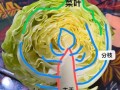 卷心菜长什么样_卷心菜图片特征解析
