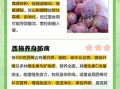 女人吃西梅有什么好处_西梅对女性的功效与作用
