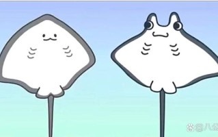 魟鱼_鳐鱼_蝠鲼的区别是什么