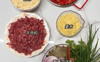 牛肉酱怎么做_牛肉酱做法视频详细步骤