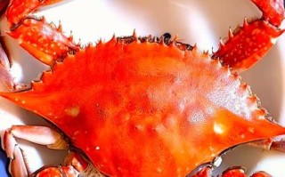 螃蟹怎么拍好看_螃蟹图片高清技巧