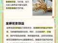 金蝉花图片有什么功效_金蝉花作用与禁忌