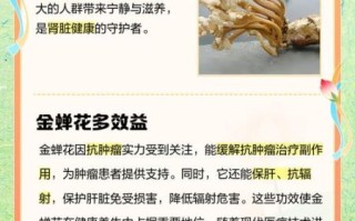 金蝉花图片有什么功效_金蝉花作用与禁忌