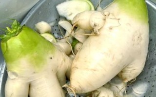 韩国正宗泡白萝卜怎么做_正宗泡白萝卜的腌制方法