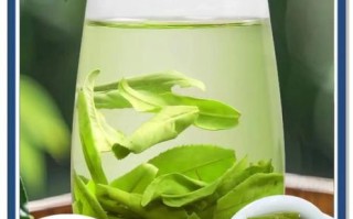 六安瓜片属于什么档次_六安瓜片什么价位