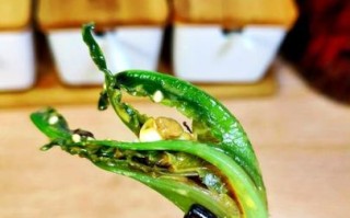 麻酱凉拌油麦菜怎么做_麻酱凉拌油麦菜热量高吗