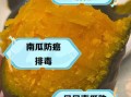 贝贝小南瓜的营养价值_贝贝小南瓜的功效与作用
