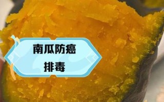 贝贝小南瓜的营养价值_贝贝小南瓜的功效与作用