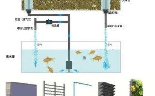 鱼菜共生系统怎么做_设计图关键细节