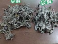 真艾叶和假艾叶的区别_如何辨别真假艾叶