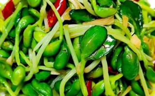青豆苗怎么炒好吃_青豆苗的做法大全家常