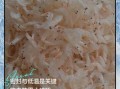 虾皮怎么保存不变味_虾皮做法大全