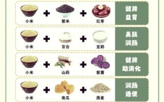 养胃粥怎么做_养胃粥的做法步骤