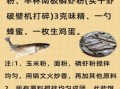 鲤鱼饵料绝密配方_自制鲤鱼饵料怎么做
