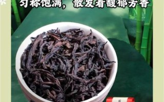 武夷肉桂茶叶多少钱一斤_正宗肉桂价格区间