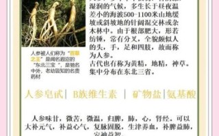 人参禁忌人群有哪些_八种人不能吃人参