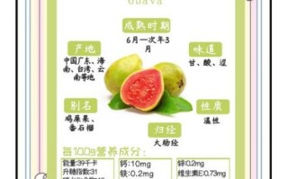 番石榴果的功效与作用_番石榴怎么吃才正确