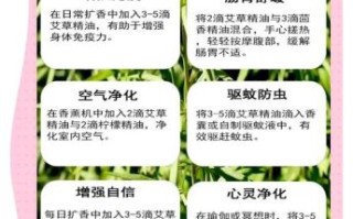 艾草液的功效与作用_艾草液怎么用效果最好