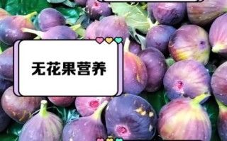 无花果一天吃多少最好_吃多了有什么副作用