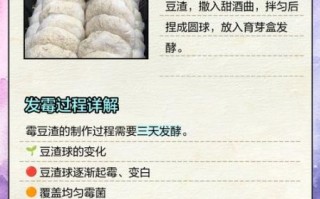 霉豆渣是什么_霉豆渣能吃吗