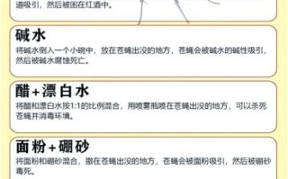 苍蝇怎么消灭最有效_家里苍蝇多怎么办